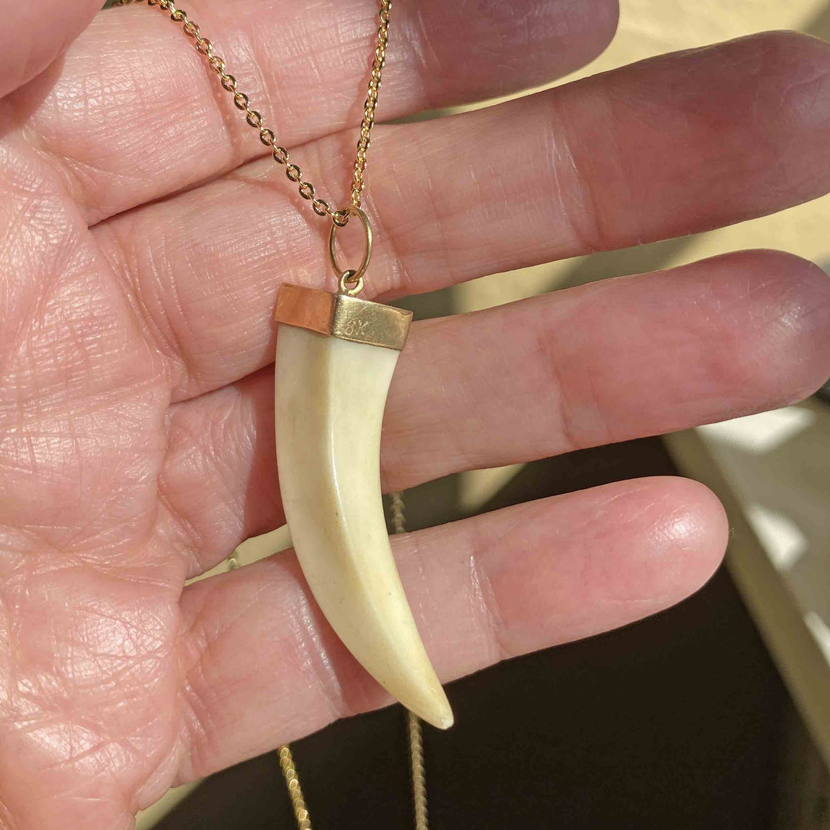 Antique 18K Gold Boars Tusk Pendant Necklace – Boylerpf