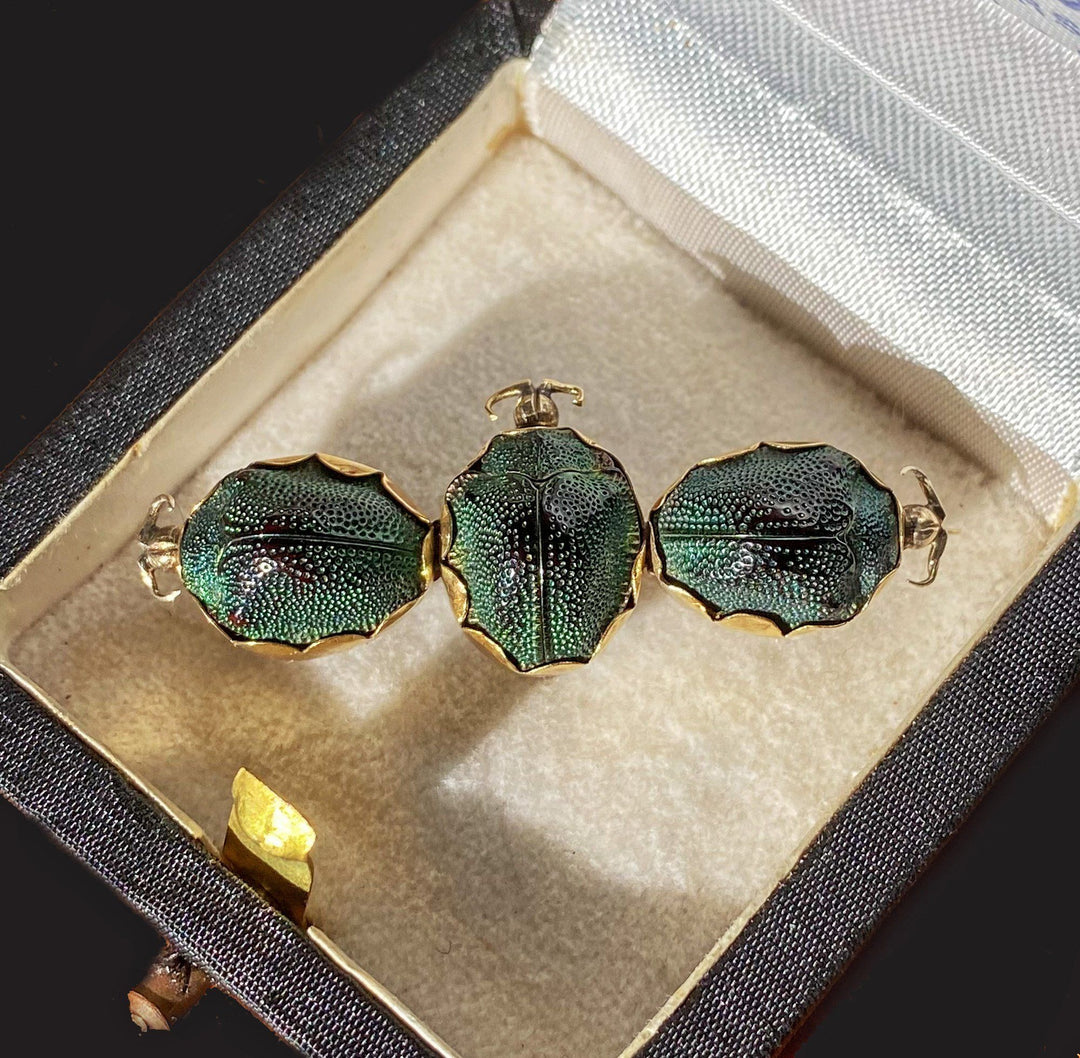 Antique Victorian 14K Gold Scarab Beetle Brooch – Boylerpf